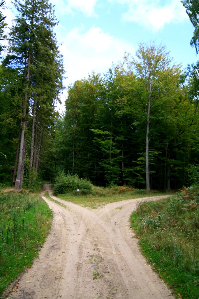 Suffering: The Forgotten Gift | Reflections in The WORD