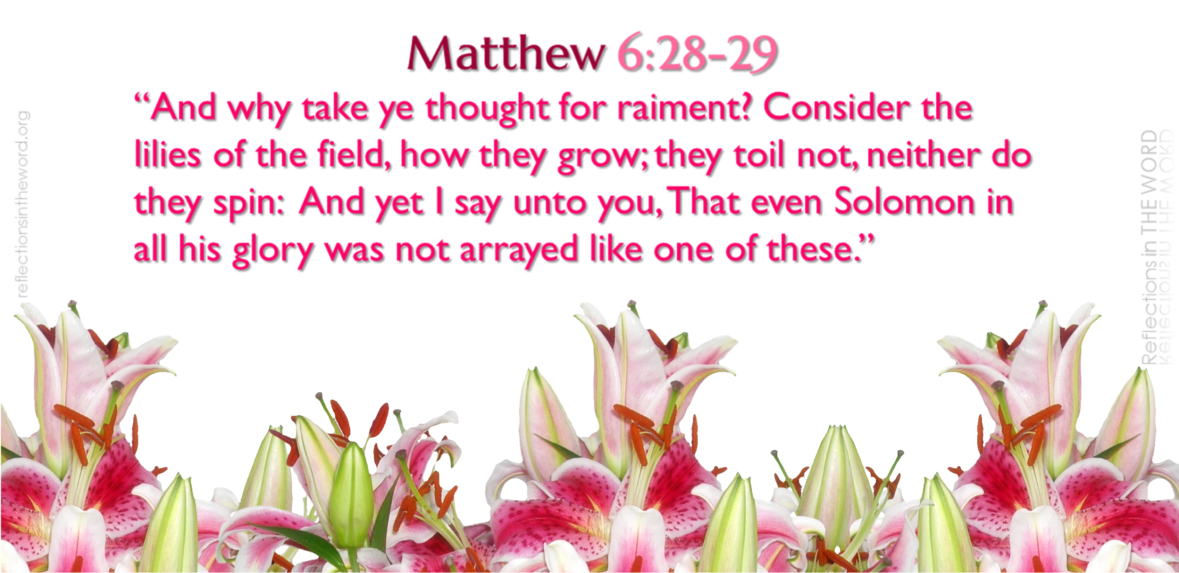 Matthew 6-28-29 | Reflections in The WORD
